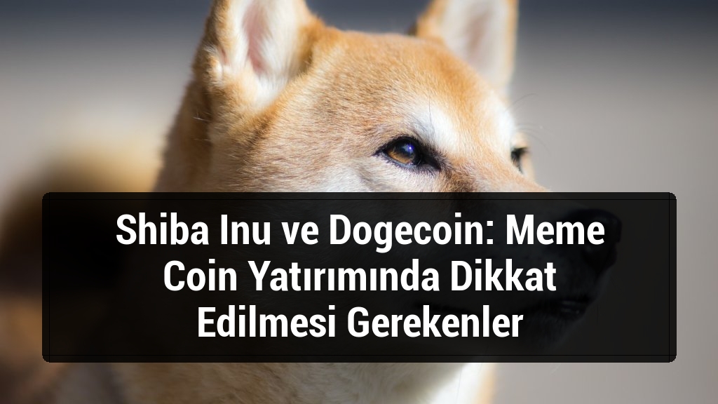 Shiba Inu ve Dogecoin: Meme Coin Yatırımında Dikkat Edilmesi Gerekenler - Evde Para Kazanma